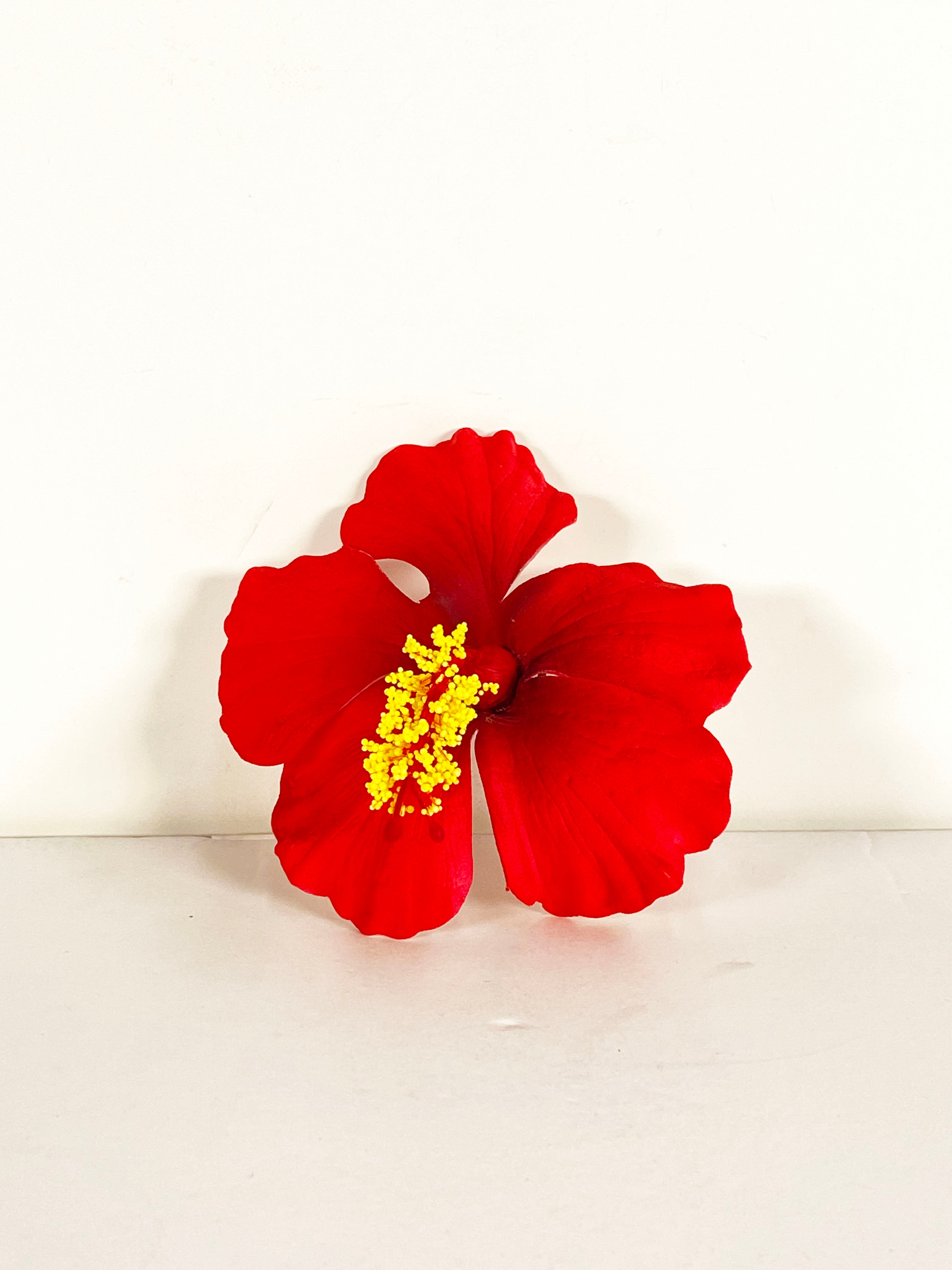 RAMONA SEI – Panikeke