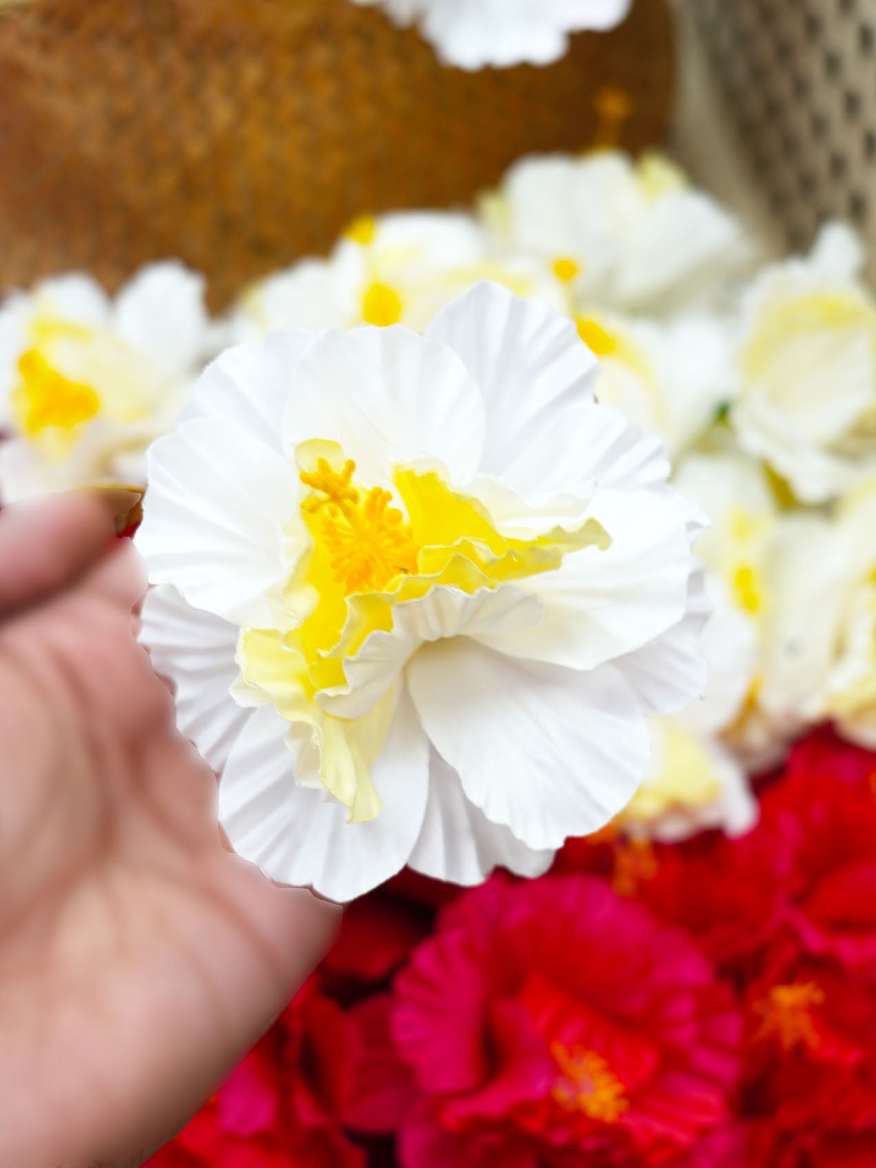 DOUBLE MOON HIBISCUS – Panikeke